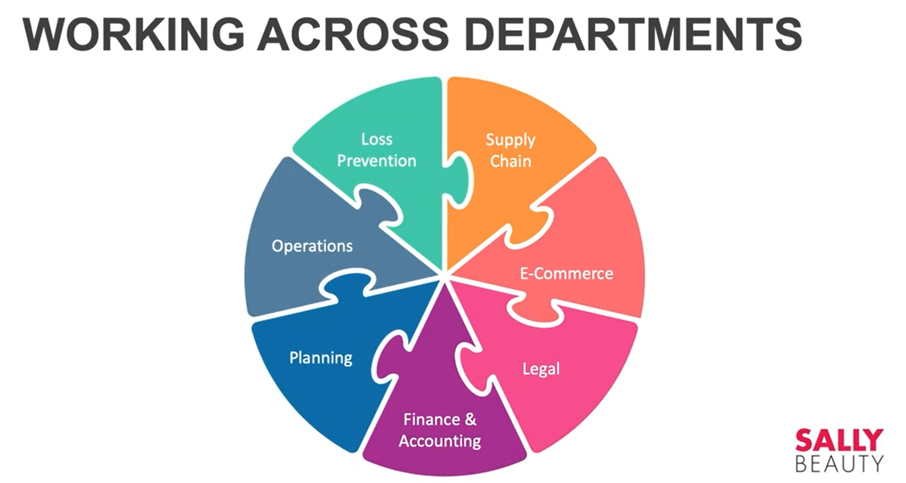 Sally Beauty - Increasing Value | Agilence Customer Story (Video)